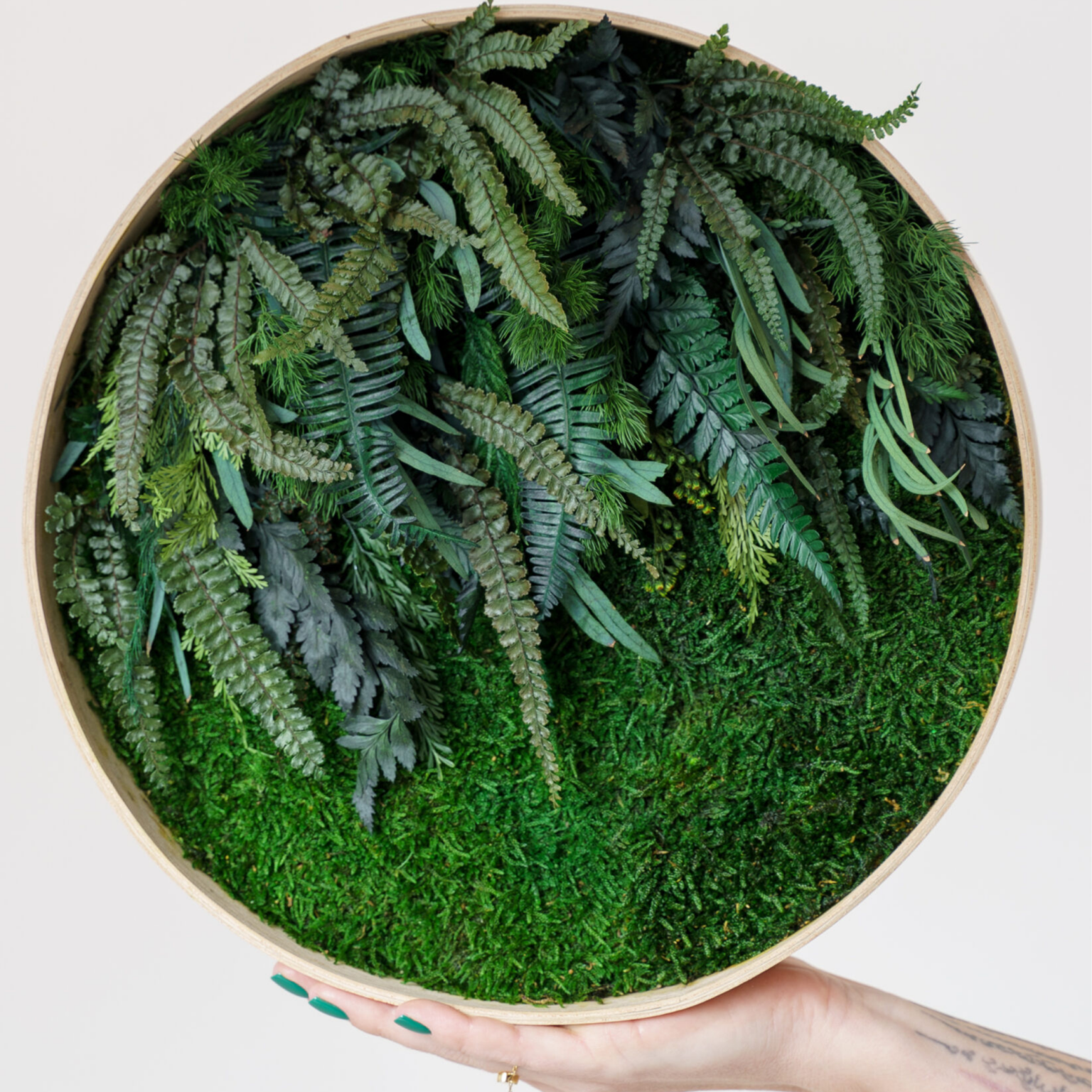 O NAMA – Moss Art